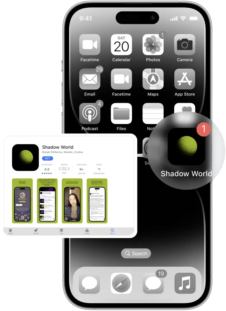 Shadow World - Felicity Morgan